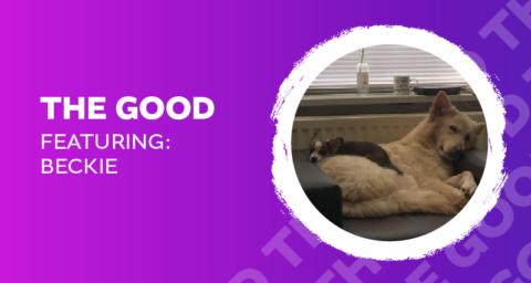 Share The Good | Crime Junkie Podcast