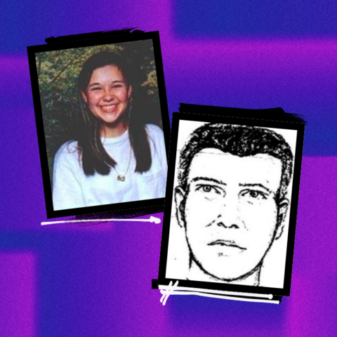 MURDERED: Lisa Norrell | Crime Junkie Podcast